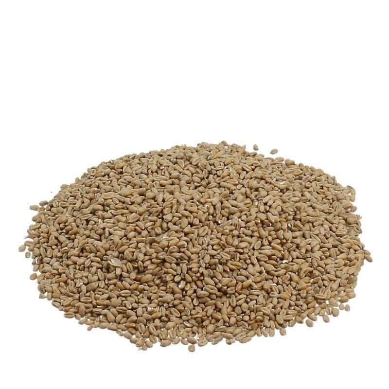 Weizen 25 kg, 16,99